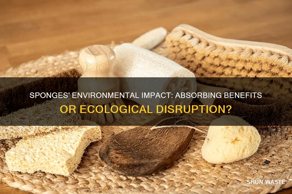 Sponges' Environmental Impact: Absorbing Benefits Or Ecological ...