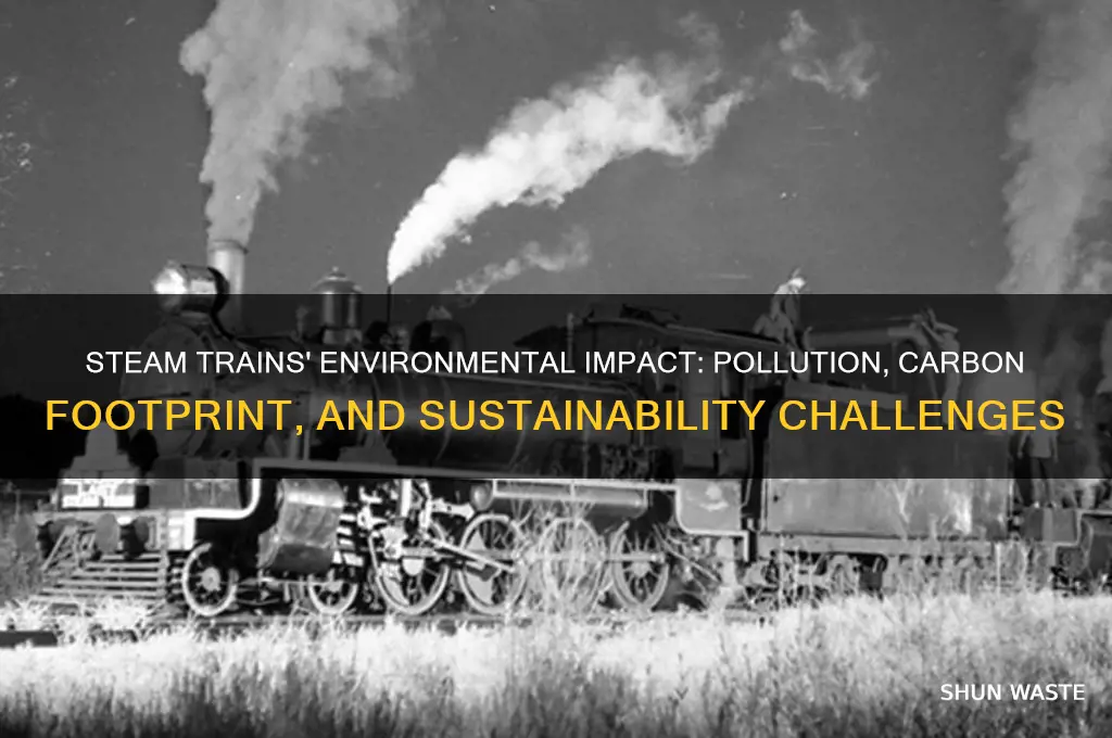 Steam Trains' Environmental Impact: Pollution, Carbon Footprint, And ...