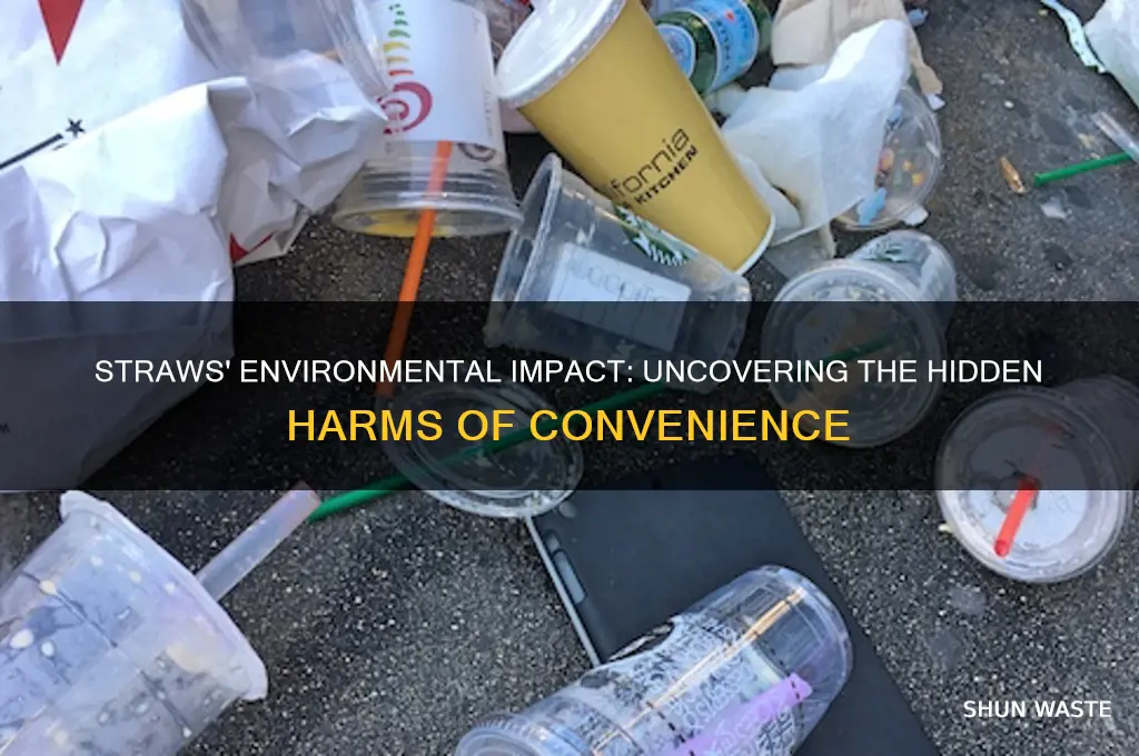Straws' Environmental Impact: Uncovering The Hidden Harms Of ...