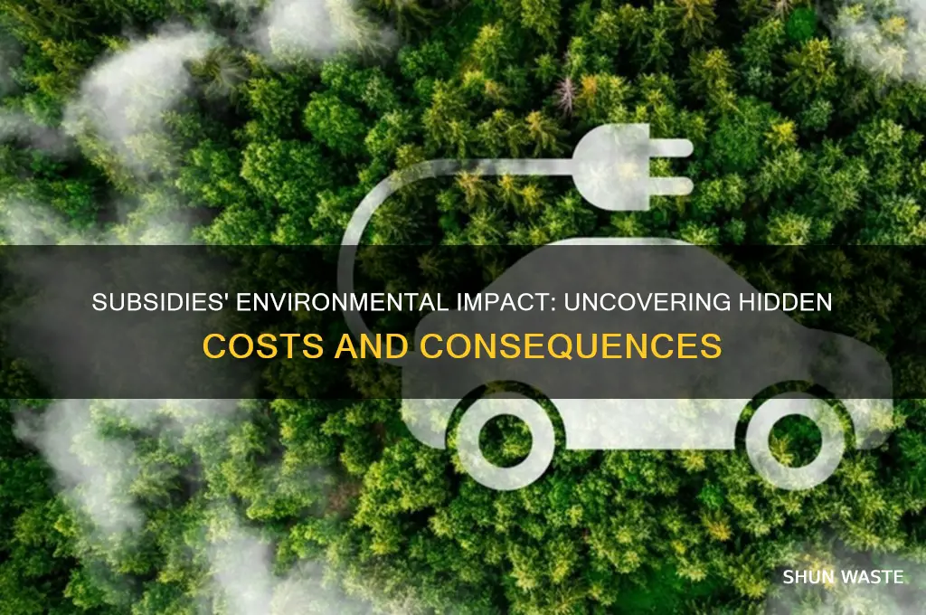 Subsidies' Environmental Impact: Uncovering Hidden Costs And ...