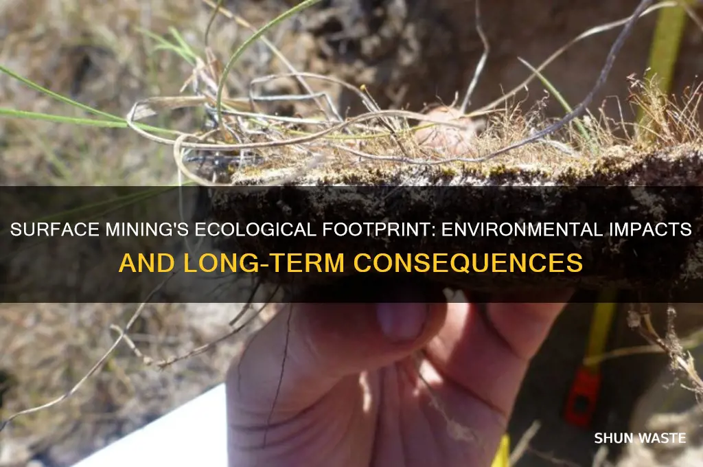 Surface Mining's Ecological Footprint: Environmental Impacts And Long ...