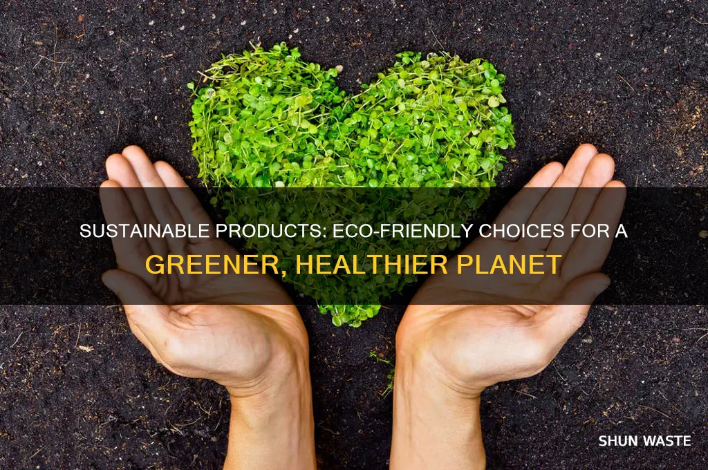 Sustainable Products: Eco-Friendly Choices For A Greener, Healthier ...