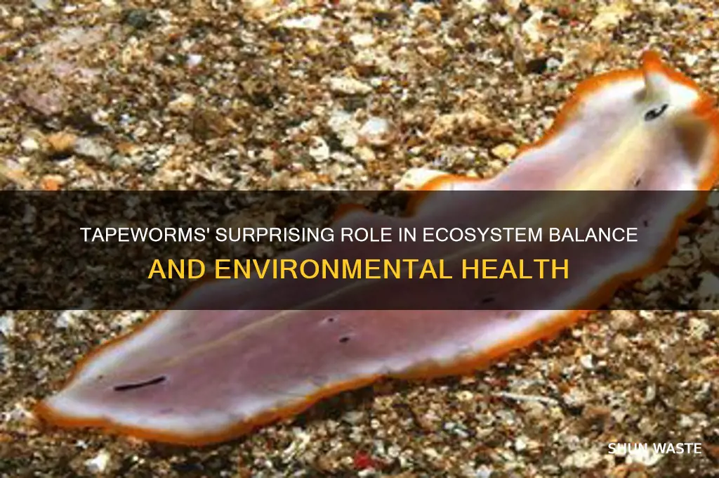 Tapeworms' Surprising Role In Ecosystem Balance And Environmental ...