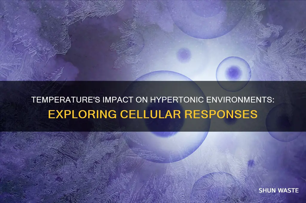 Temperature's Impact On Hypertonic Environments: Exploring Cellular ...