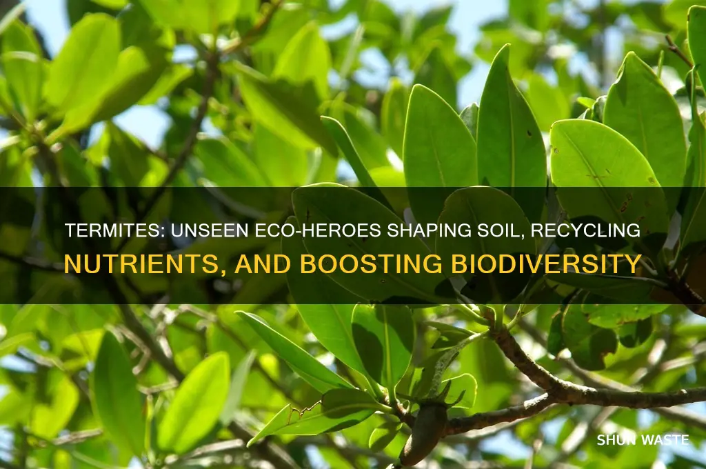 Termites: Unseen Eco-Heroes Shaping Soil, Recycling Nutrients, And ...