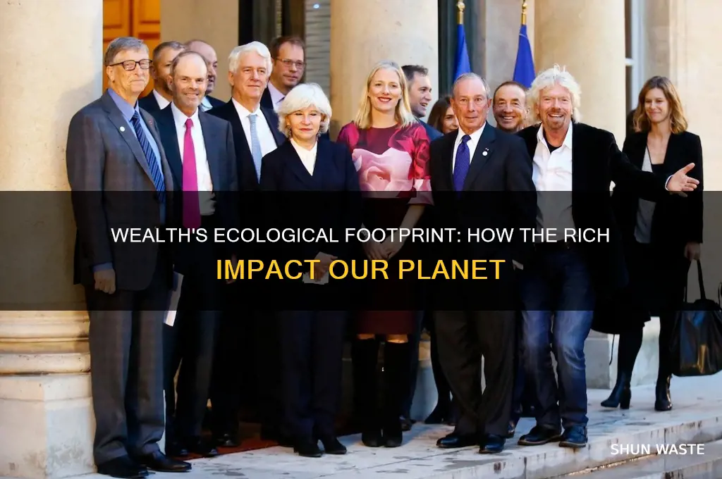 Wealth's Ecological Footprint: How The Rich Impact Our Planet | ShunWaste