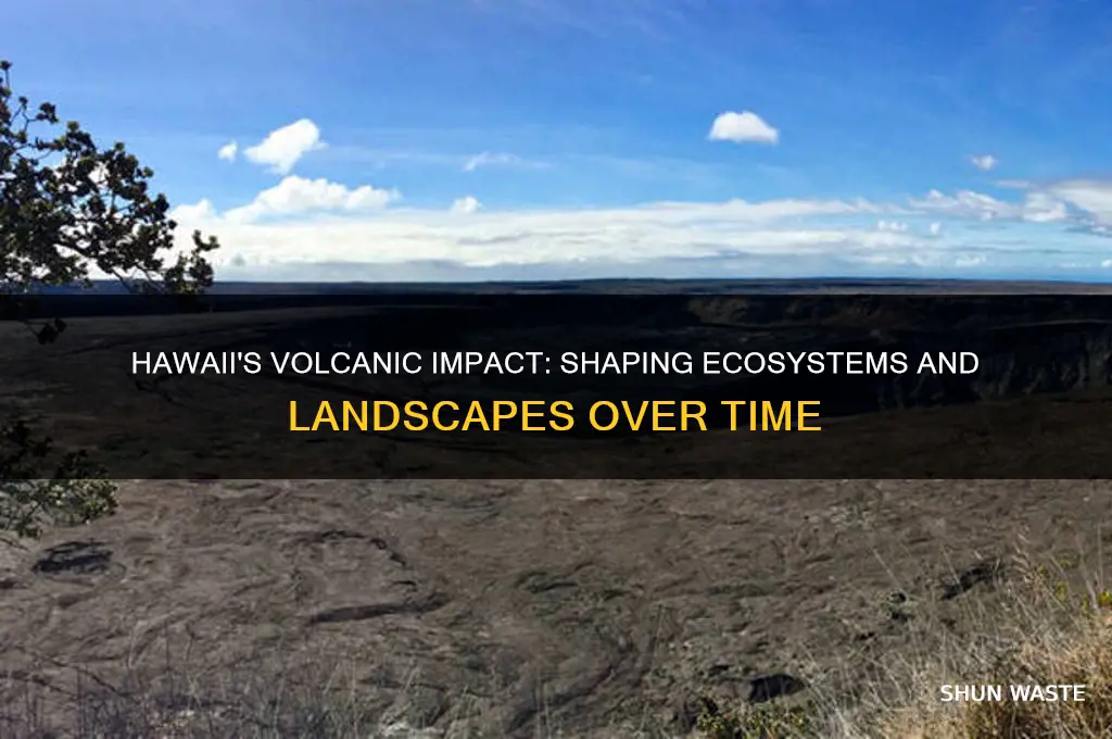 Hawaii's Volcanic Impact: Shaping Ecosystems And Landscapes Over Time ...