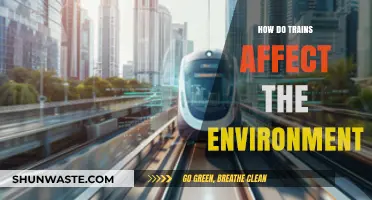 Tornadoes' Environmental Impact: Destruction, Ecosystem Changes, And ...