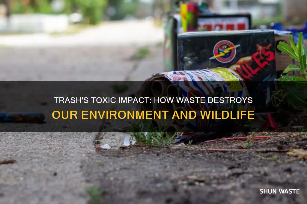Trash's Toxic Impact: How Waste Destroys Our Environment And Wildlife ...
