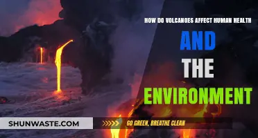 War's Devastating Impact: How Conflicts Destroy Our Environment And ...