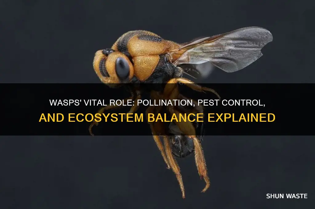 Wasps' Vital Role: Pollination, Pest Control, And Ecosystem Balance ...