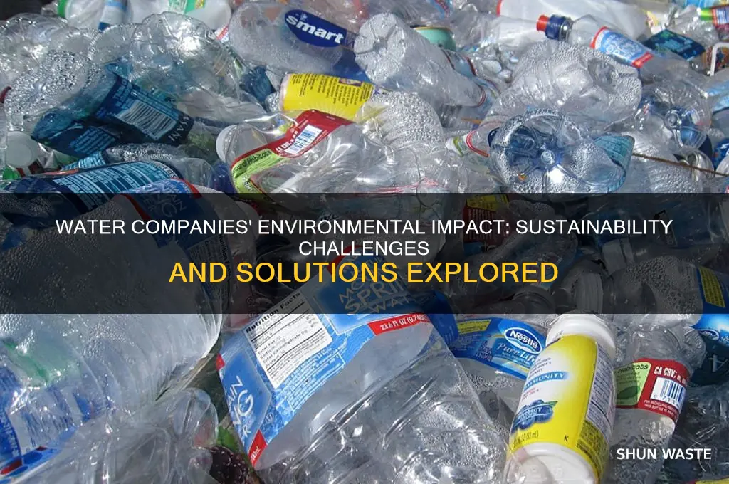 Water Companies' Environmental Impact: Sustainability Challenges And ...