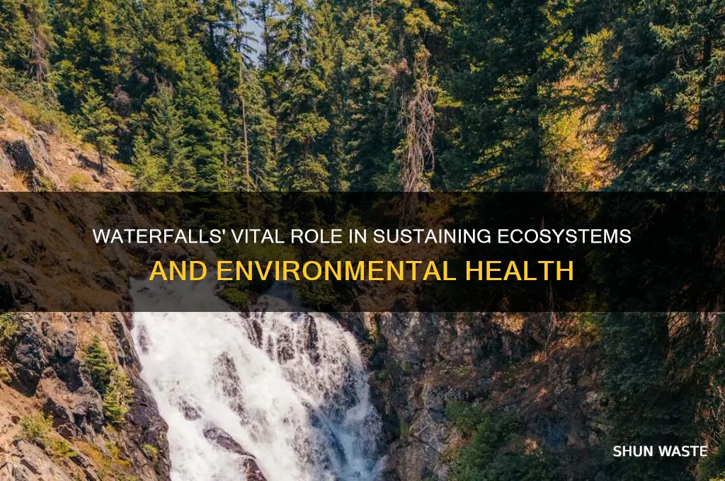 Waterfalls' Vital Role In Sustaining Ecosystems And Environmental ...