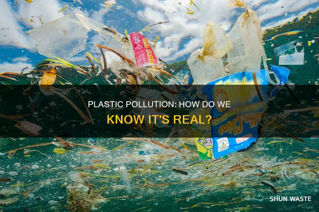 Plastic Pollution: How Do We Know It's Real? | ShunWaste