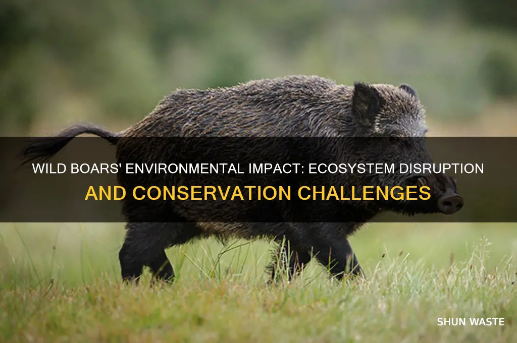 Wild Boars' Environmental Impact: Ecosystem Disruption And Conservation ...