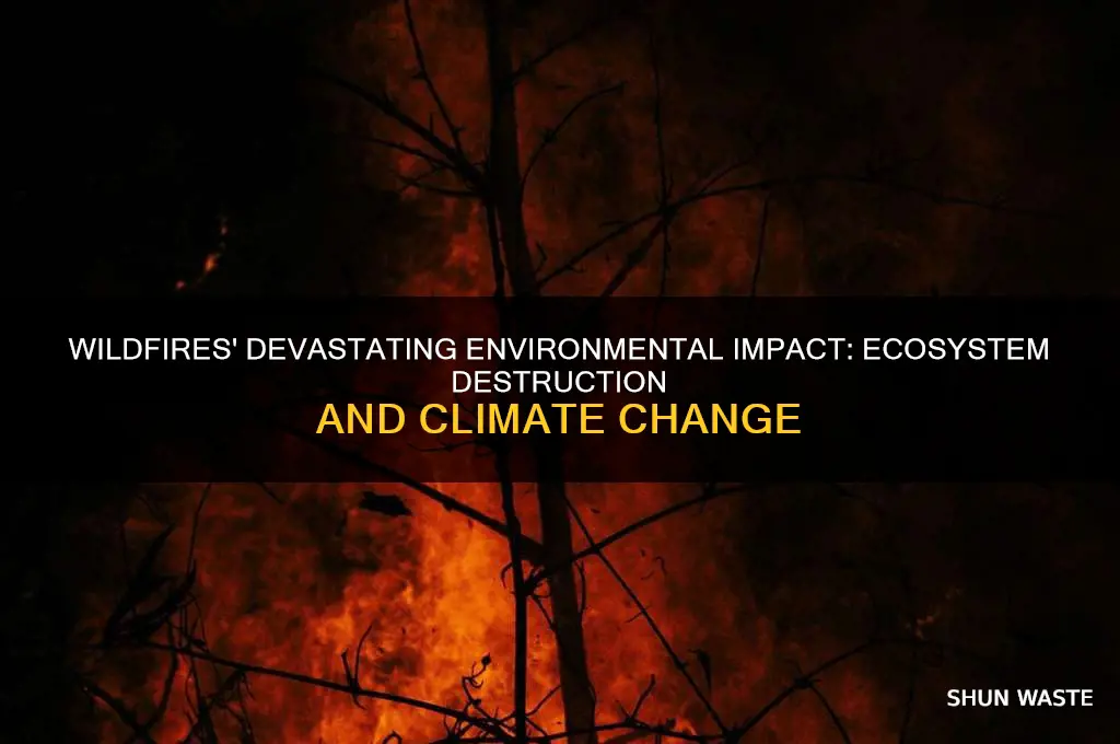 Wildfires' Devastating Environmental Impact: Ecosystem Destruction And ...