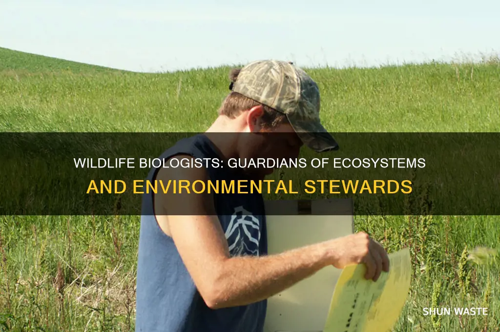 Wildlife Biologists: Guardians Of Ecosystems And Environmental Stewards ...