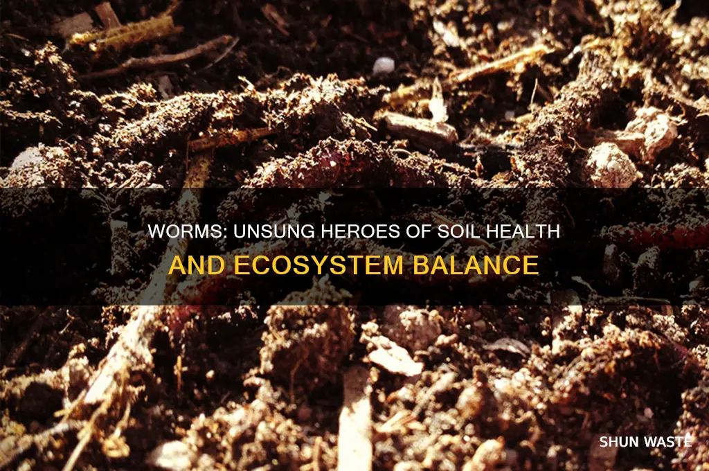 Worms: Unsung Heroes Of Soil Health And Ecosystem Balance | ShunWaste