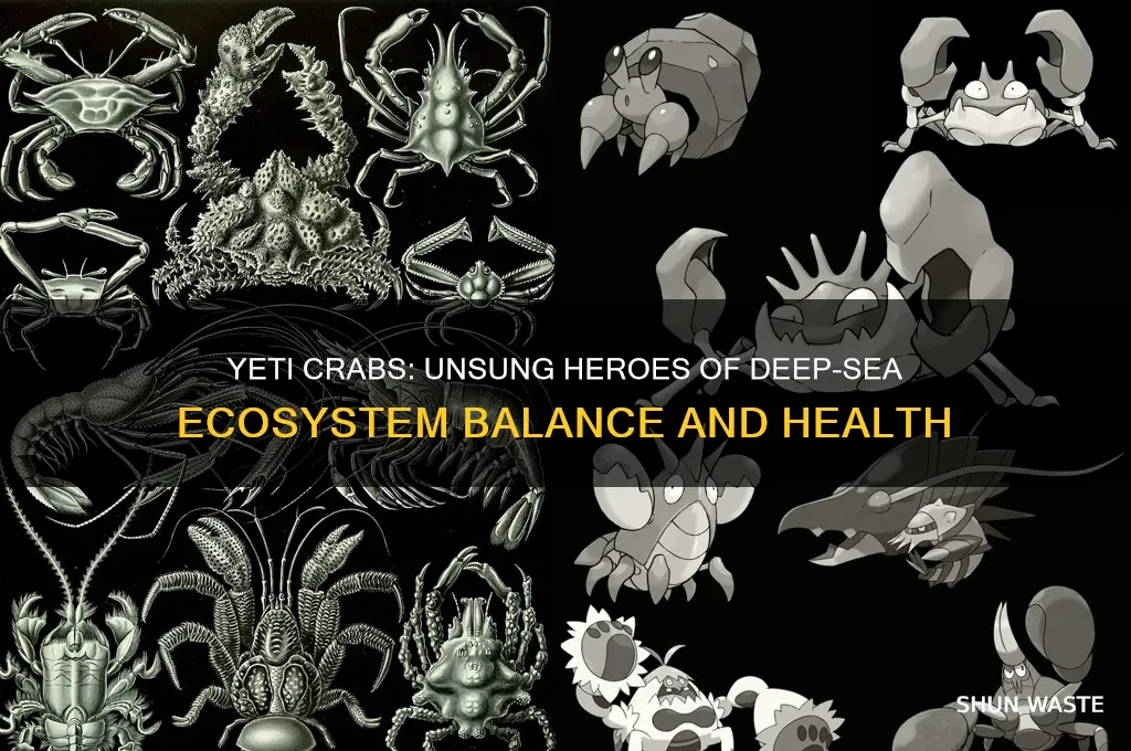 Yeti Crabs: Unsung Heroes Of Deep-Sea Ecosystem Balance And Health ...