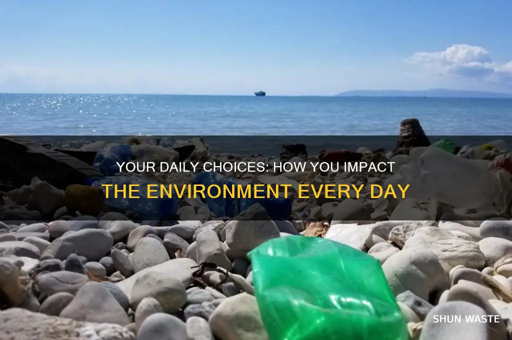 Your Daily Choices: How You Impact The Environment Every Day | ShunWaste