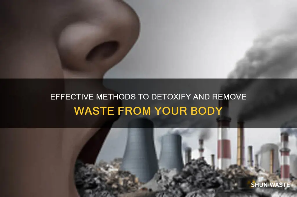Effective Methods To Detoxify And Remove Waste From Your Body | ShunWaste