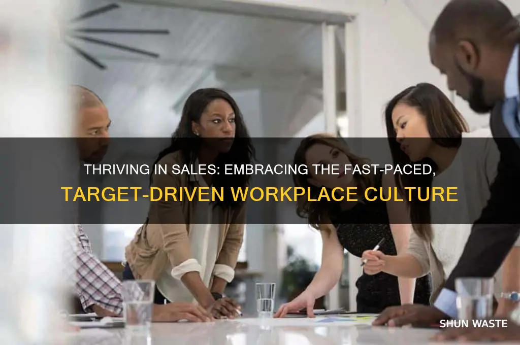 Thriving In Sales: Embracing The Fast-Paced, Target-Driven Workplace ...