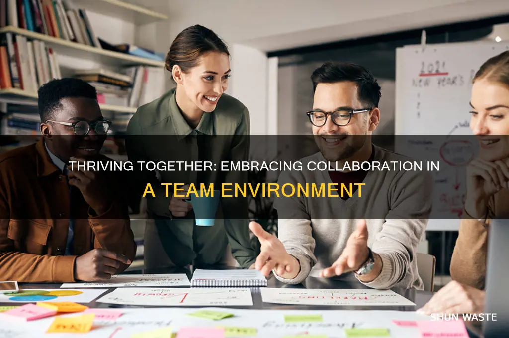 Thriving Together: Embracing Collaboration In A Team Environment ...