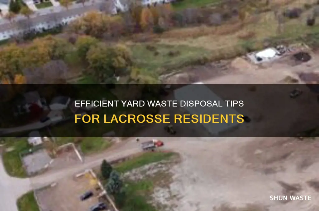 Efficient Yard Waste Disposal Tips For Lacrosse Residents | ShunWaste