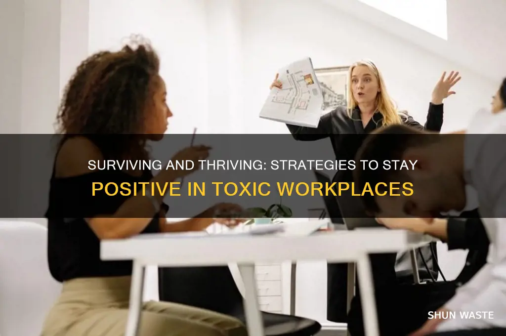 Surviving And Thriving: Strategies To Stay Positive In Toxic Workplaces ...