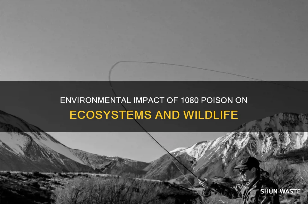 Environmental Impact Of 1080 Poison On Ecosystems And Wildlife | ShunWaste