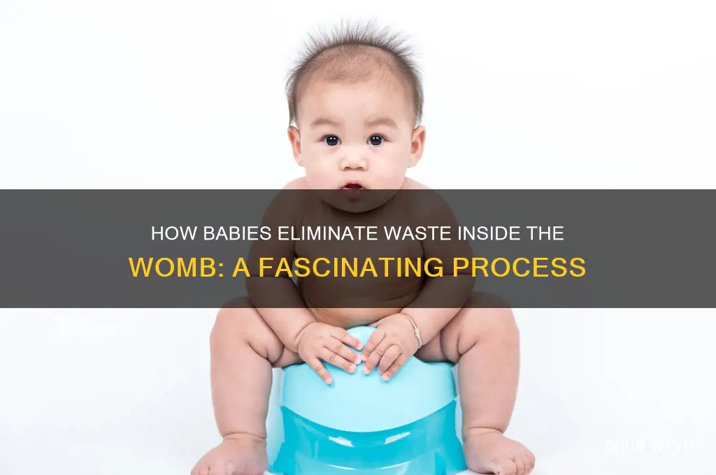 How Babies Eliminate Waste Inside The Womb: A Fascinating Process ...