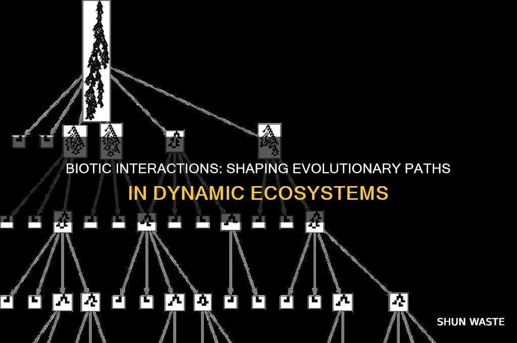 Biotic Interactions: Shaping Evolutionary Paths In Dynamic Ecosystems ...