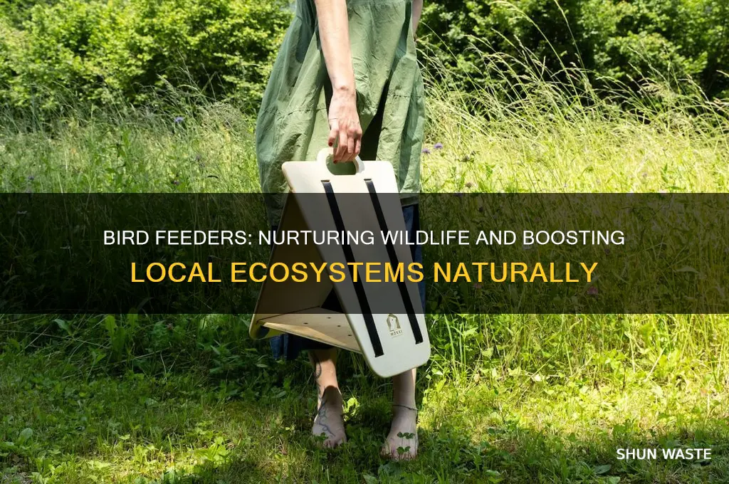 Bird Feeders: Nurturing Wildlife And Boosting Local Ecosystems ...