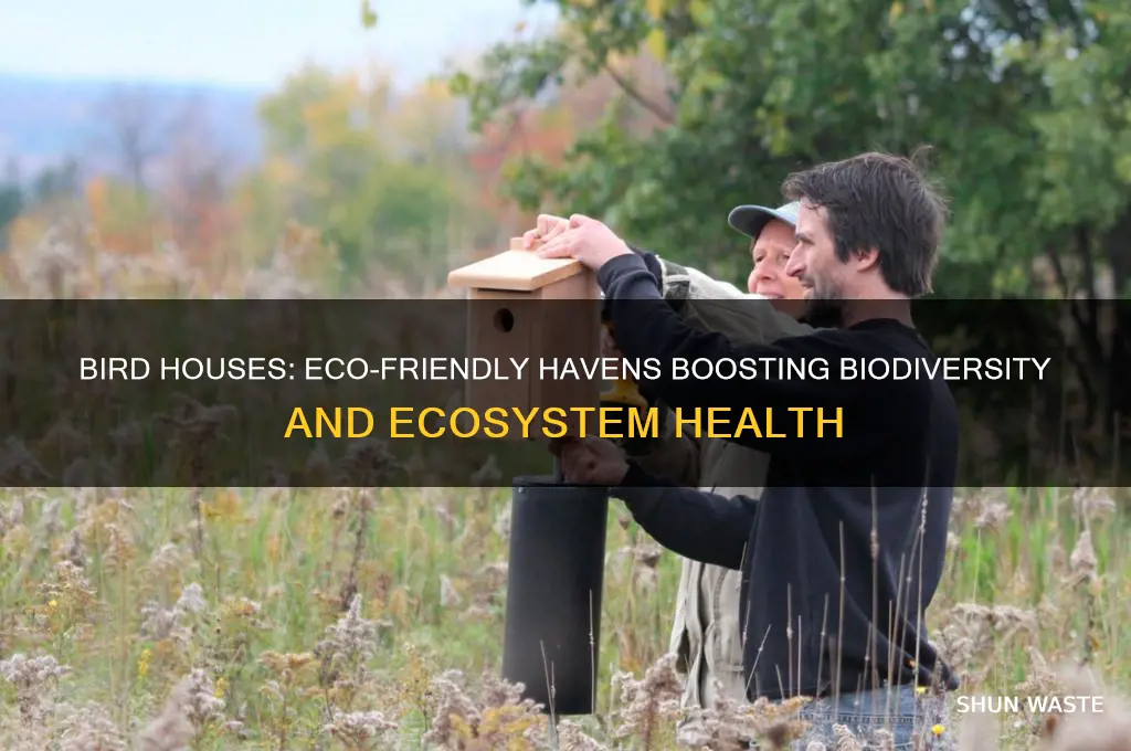 Bird Houses: Eco-Friendly Havens Boosting Biodiversity And Ecosystem ...