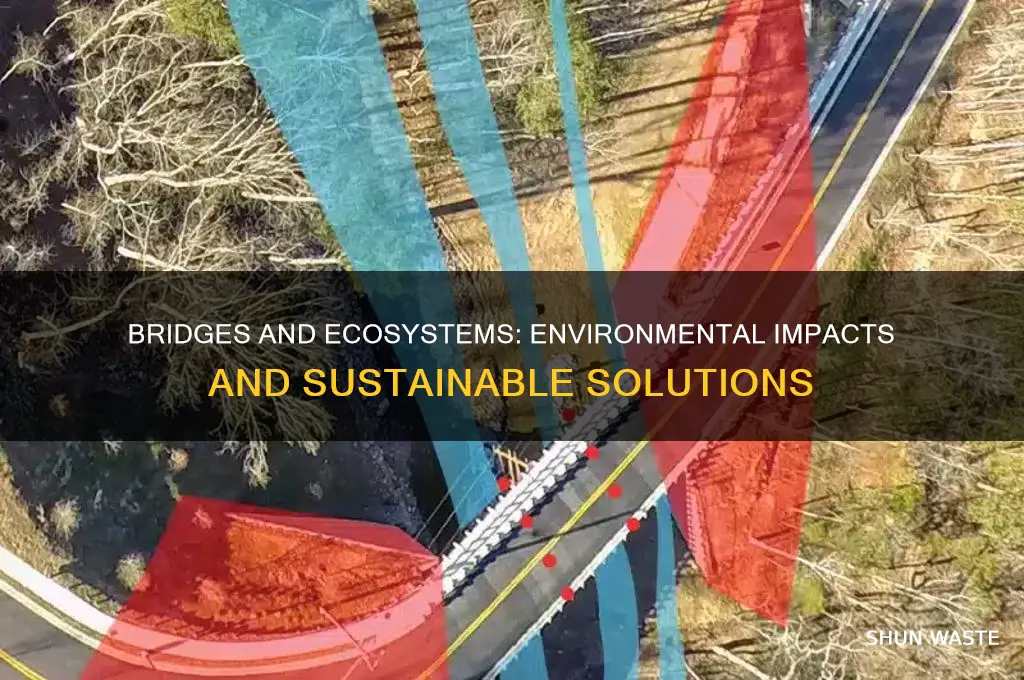 Bridges And Ecosystems: Environmental Impacts And Sustainable Solutions ...