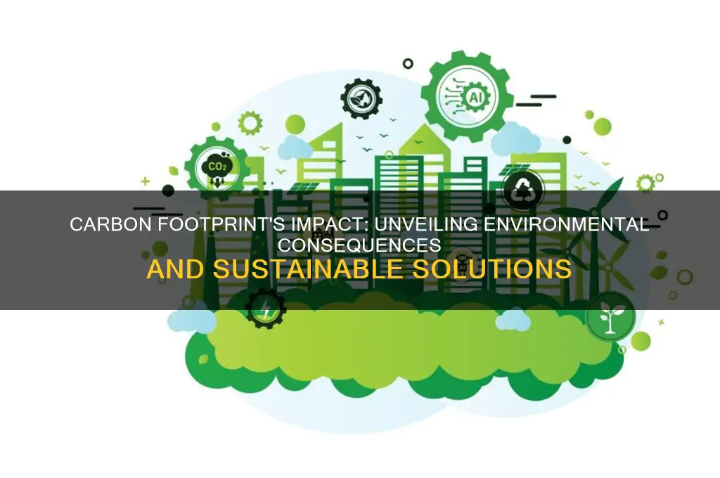 Carbon Footprint's Impact: Unveiling Environmental Consequences And ...