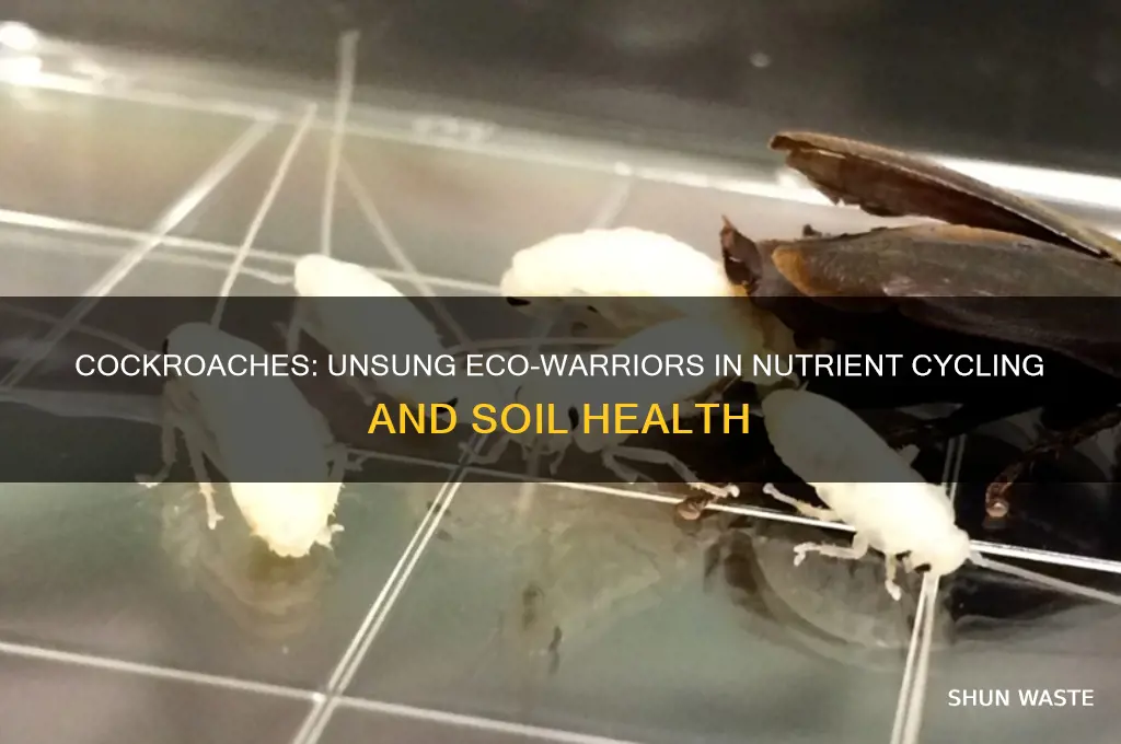 Cockroaches: Unsung Eco-Warriors In Nutrient Cycling And Soil Health ...