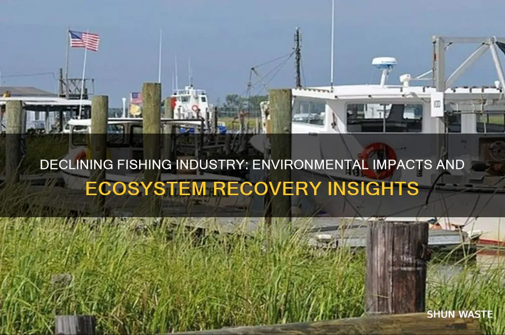Declining Fishing Industry: Environmental Impacts And Ecosystem ...