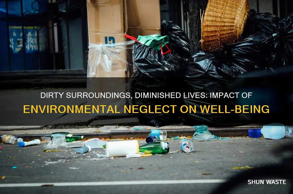 Dirty Surroundings, Diminished Lives: Impact Of Environmental Neglect ...