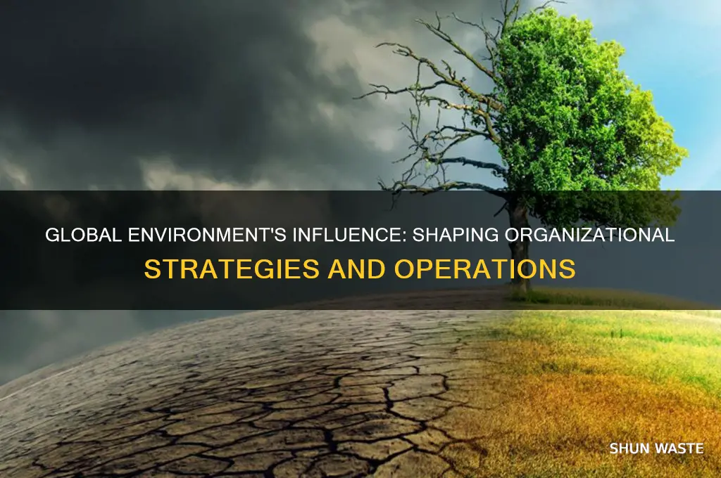 Global Environment's Influence: Shaping Organizational Strategies And ...