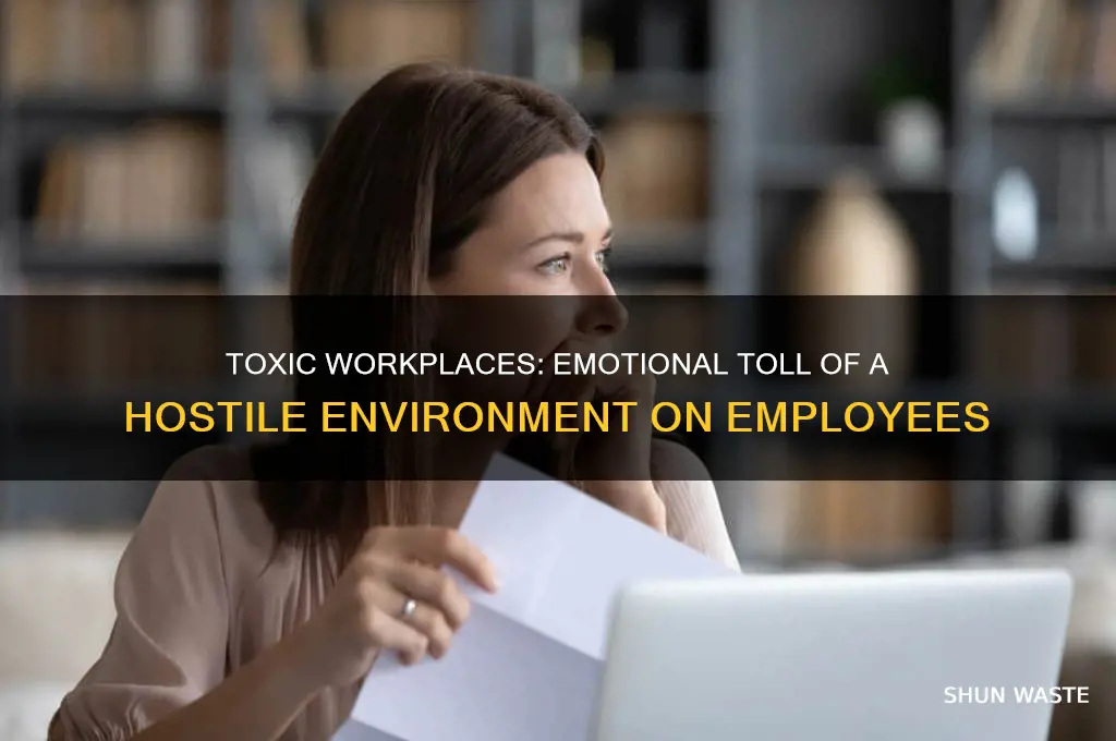 Toxic Workplaces: Emotional Toll Of A Hostile Environment On Employees ...
