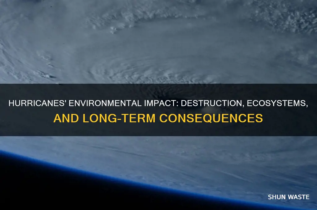 Hurricanes' Environmental Impact: Destruction, Ecosystems, And Long ...