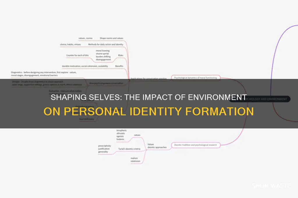 Shaping Selves: The Impact Of Environment On Personal Identity ...