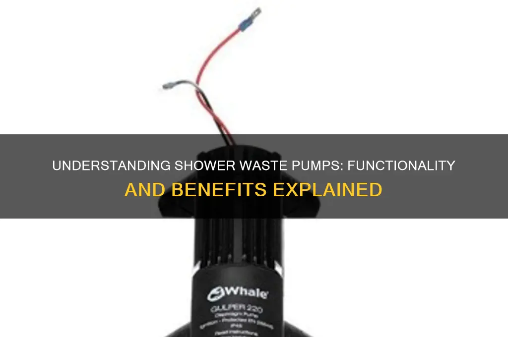 Understanding Shower Waste Pumps: Functionality And Benefits Explained ...