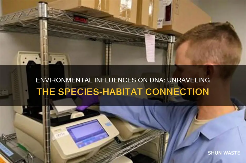 Environmental Influences On Dna: Unraveling The Species-Habitat ...