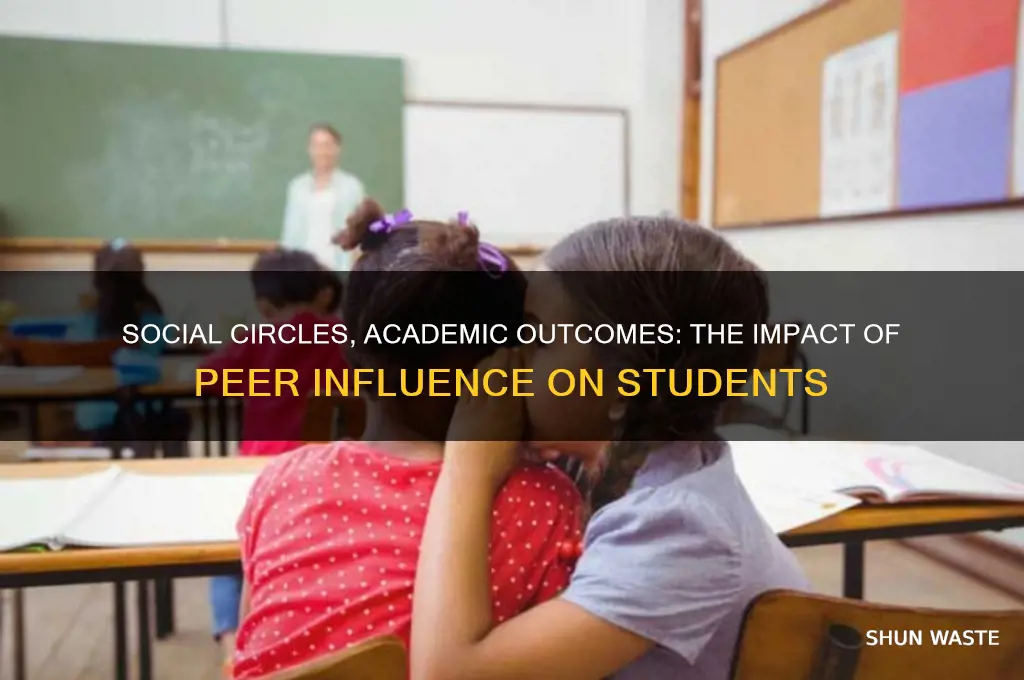 Social Circles, Academic Outcomes: The Impact Of Peer Influence On ...