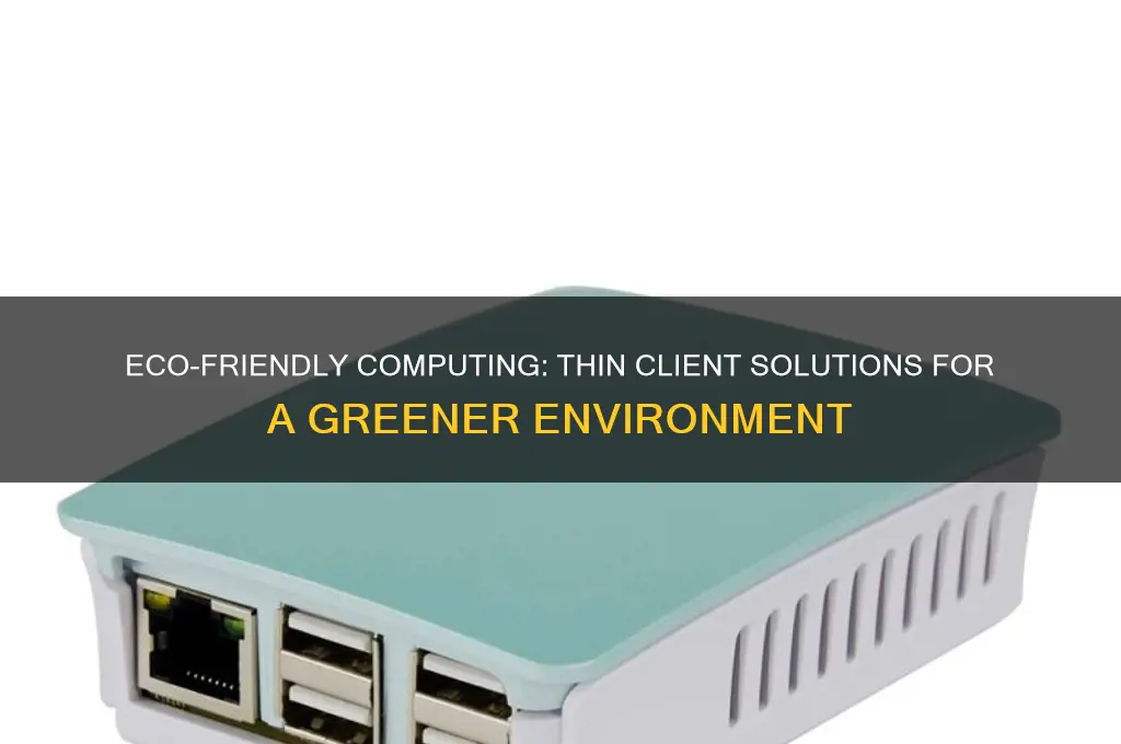Eco-Friendly Computing: Thin Client Solutions For A Greener Environment ...