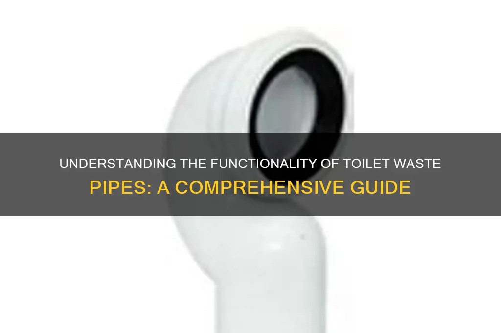 Understanding The Functionality Of Toilet Waste Pipes: A Comprehensive ...