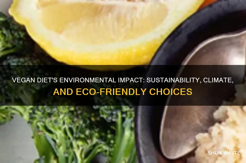 Vegan Diet's Environmental Impact: Sustainability, Climate, And Eco ...