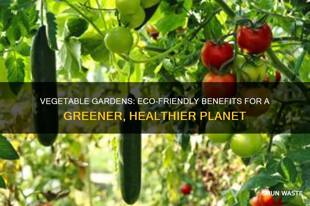 Vegetable Gardens: Eco-Friendly Benefits For A Greener, Healthier ...